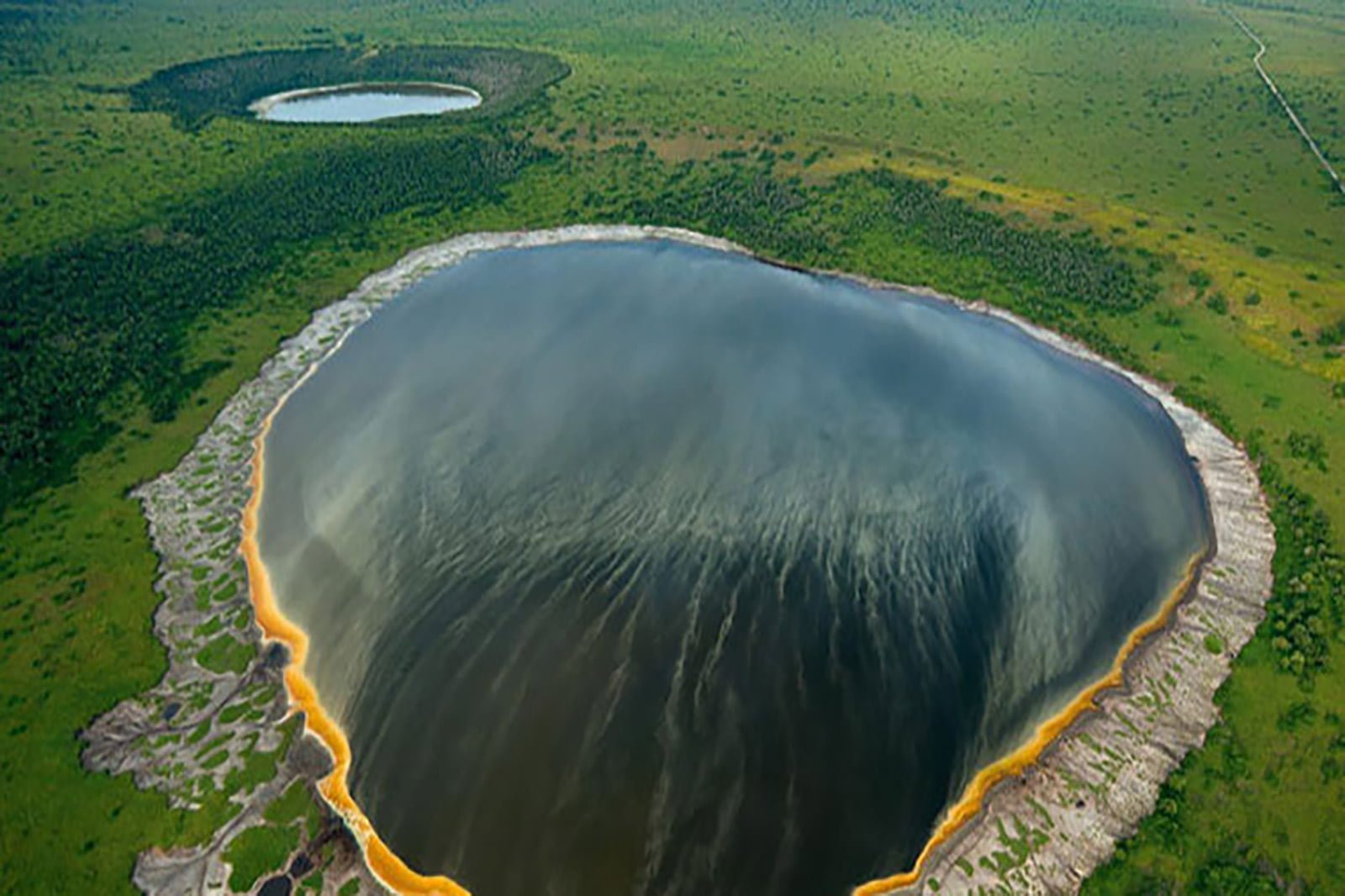 Kitulo National Park (The Garden of God) – Kiliwings Expeditions